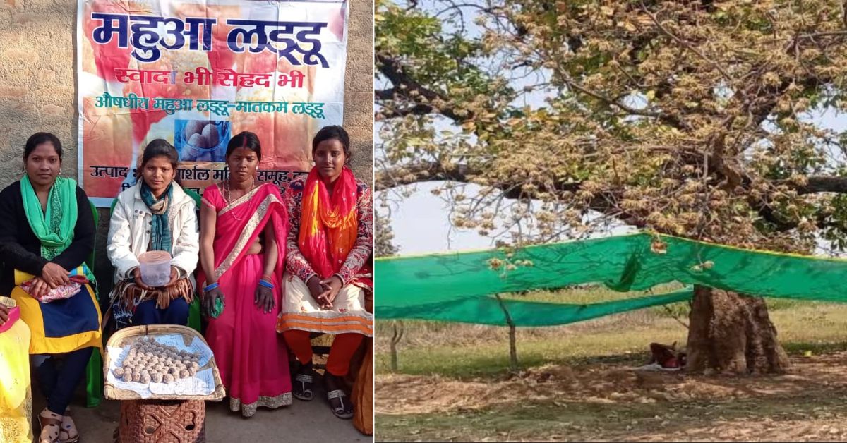 How a Jharkhand Village Used Mahua and Gram Sabhas to Boost Livelihoods